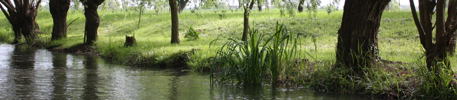 Commune de La Wantzenau - Strasbourg Eurométropole - Alsace 67